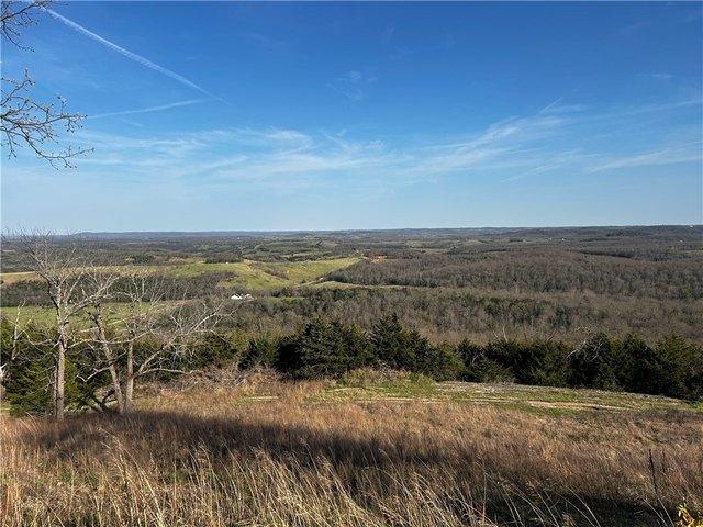 47 Ac N 281 Hwy Lot 0, Lead Hill, AR 72644