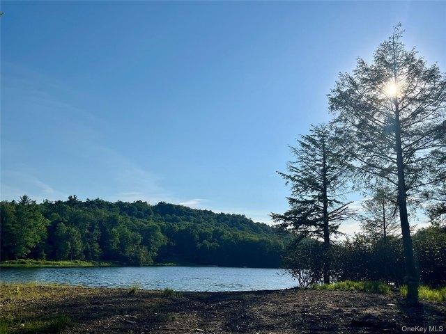 47 Eagles Ridge Way, Parksville, NY 12768