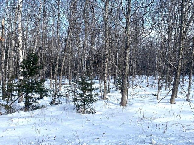 47 Greenville Rd Lot 1, Shirley, ME 04485