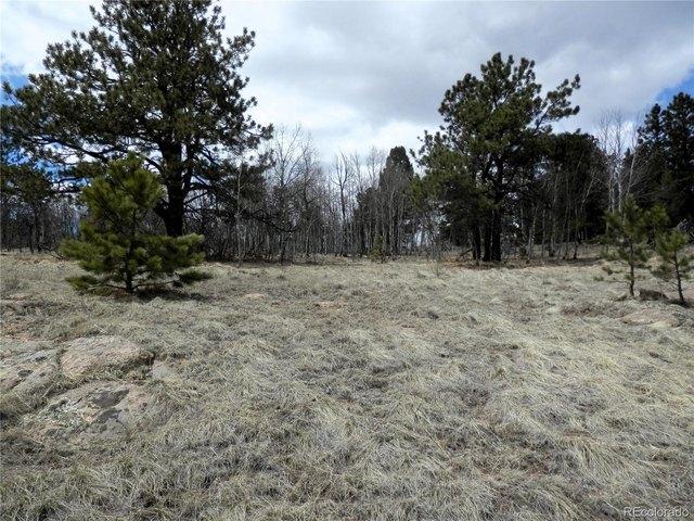 47 Hidden Valley Dr Lot 669, Florissant, CO 80816