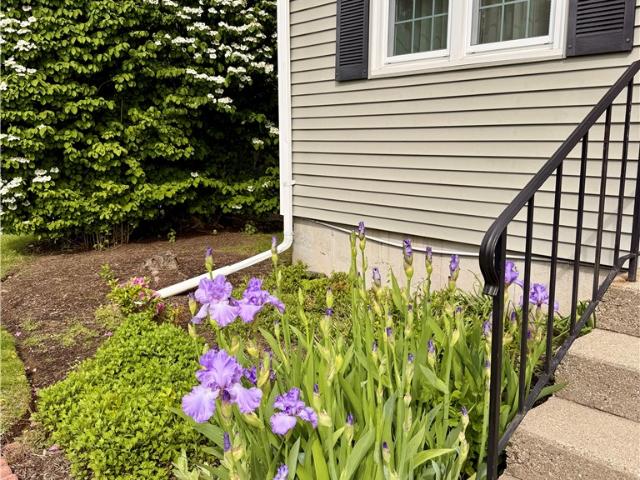 47 Morgan Avenue 9