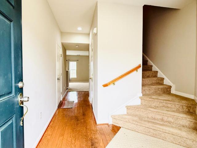 47 peppermint drive