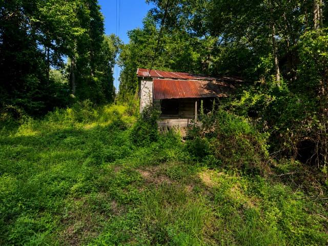 47 Phelps Creek Drive