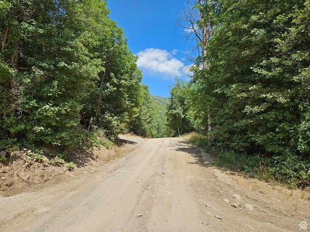 47 S Upper Birch Creek Rd E Unit L47, Fairview, UT 84629