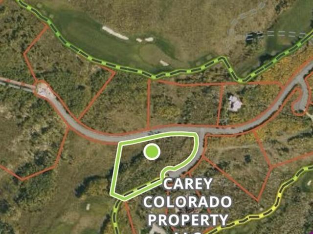 47 Salt Trl, Montrose, CO 81403