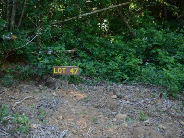 47 Speer Dr, Crescent City, CA 95531
