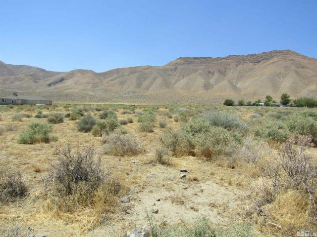 47 Sunnygrove Dr, Yerington, NV 89447 | MLS #240009
