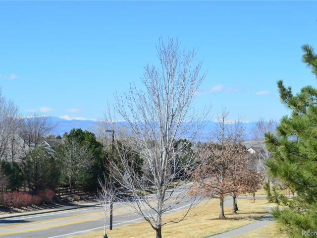 4405 Millwagon Trail