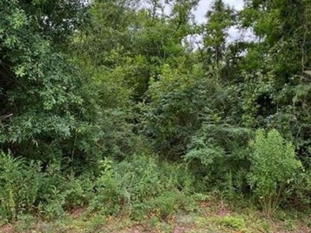 44064 Highway 445 Lot 1, Robert, LA 70455