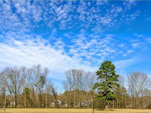 44068 Mary Singletary Rd Lot 1B, Saint Amant, LA 70774