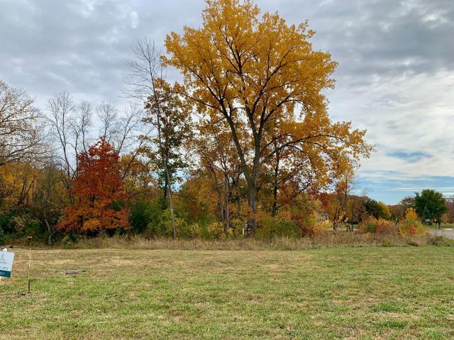4400 Poppy Dr, Medina, MN 55340 | MLS #6640