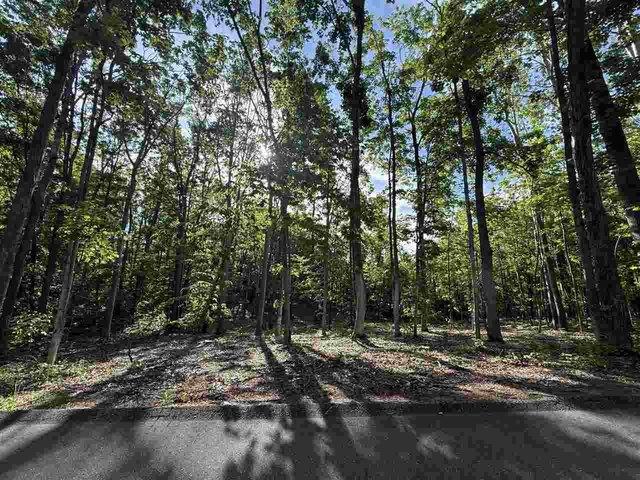 4400 Turfway Trl, Harbor Springs, MI 49740