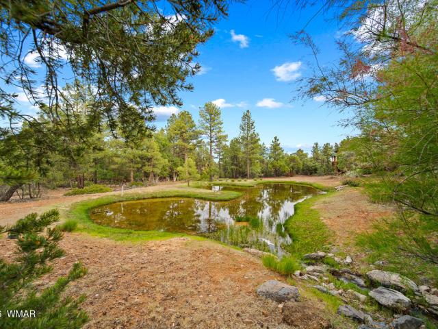 4401 Shaggy Bark Road