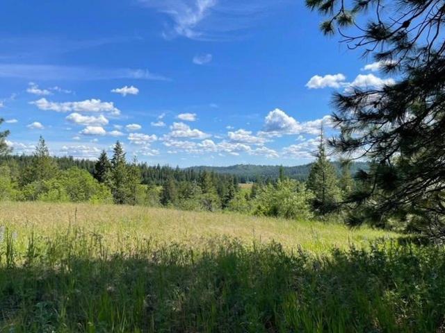 4401 Whittier Rd, Clayton, WA 99110