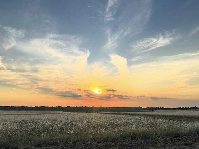 4403 County Road 7900, Lubbock, TX 79423