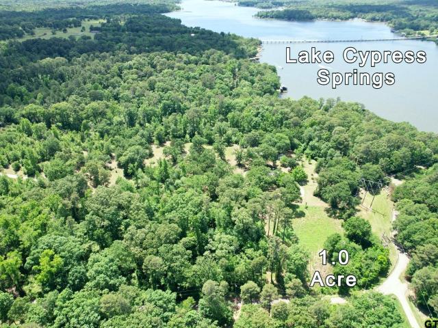 4403 Scroggins, TX 75480 | MLS #25006