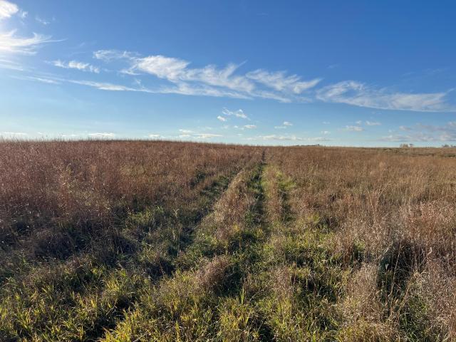 440 90th Ave NE, Benson, MN 56215 | MLS #6818 | Compass