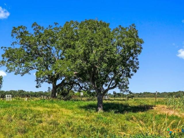 440 Chimney Valley Road