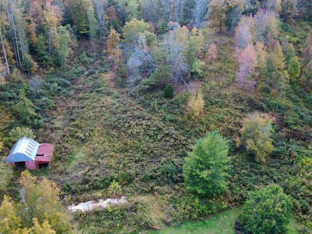 440 Big Spring Hollow Rd