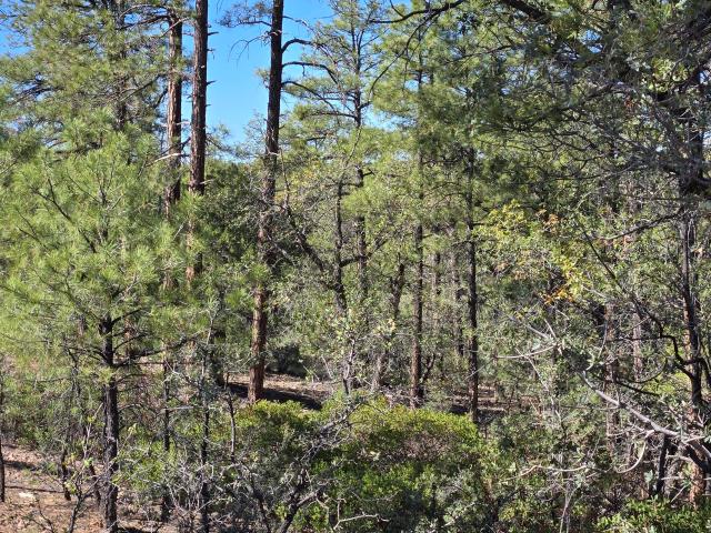 440 E Stoneridge Cir, Unit 375, Show Low, AZ 85901 | MLS #6936