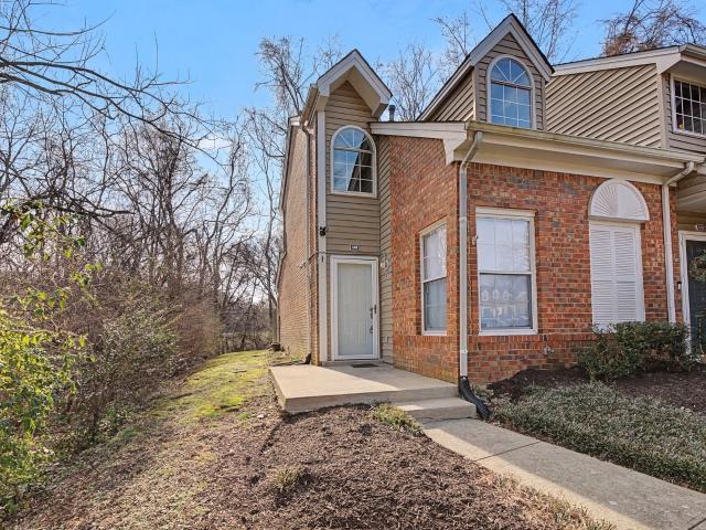 440 English Ivy Dr