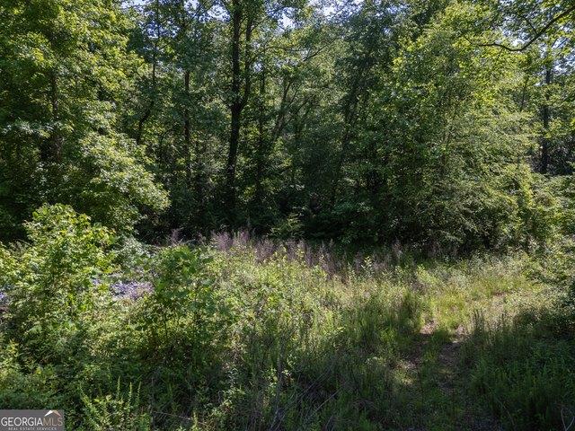 440 Joe Franklin Rd, Sautee Nacoochee, GA 30571