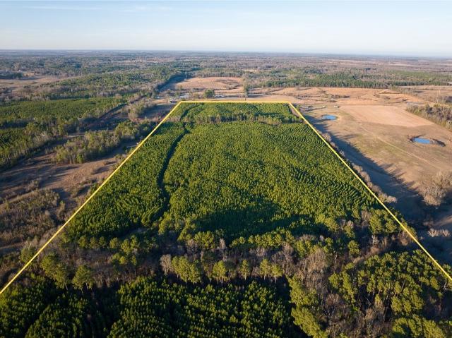 4415 Annona Tx 75559, Annona, TX 75550 | MLS #21287