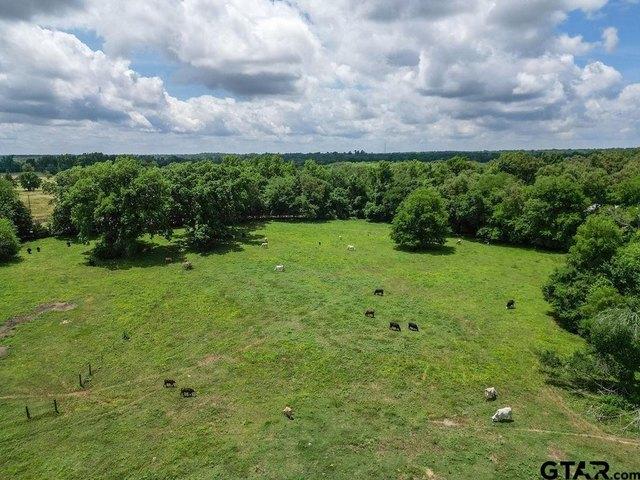 4418 FM 1000, Mount Pleasant, TX 75455