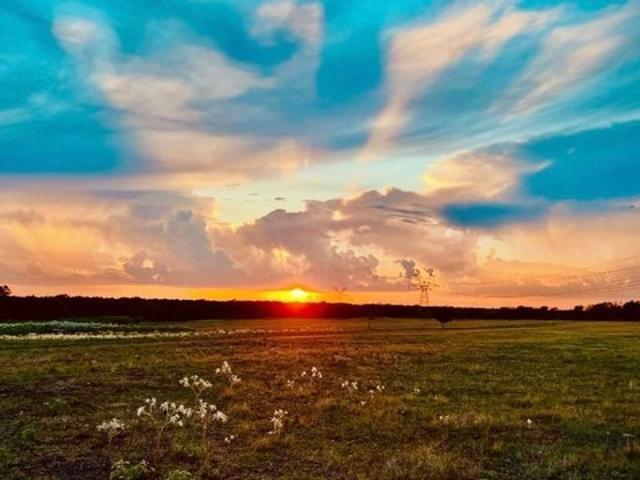 4410 FM 118, Greenville, TX 75401