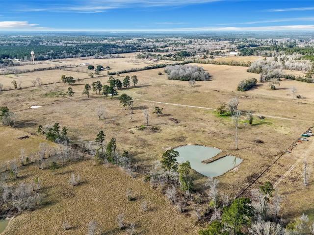 441 County Road 2225