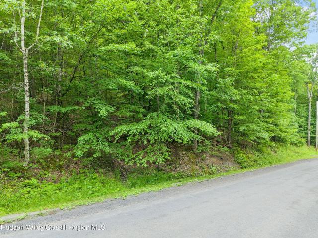 441 Dodge Lodge Road