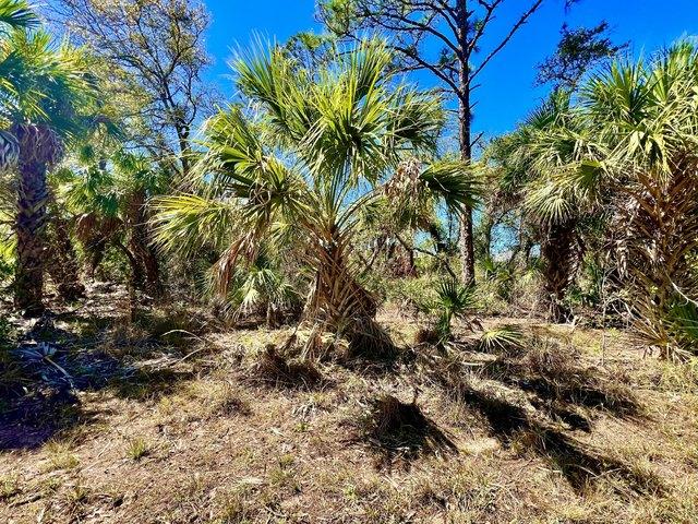 441 Juper St, Port Charlotte, FL 33953