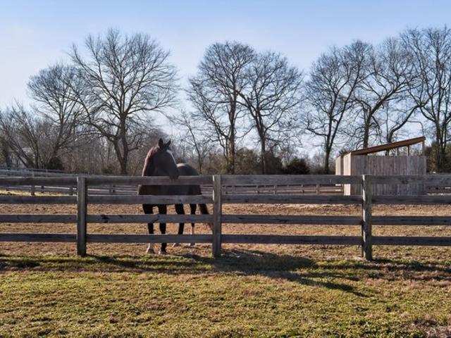 441 Matts Hollow Rd, Manchester, TN 37355