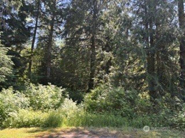 441st Ave SE, North Bend, WA 98045
