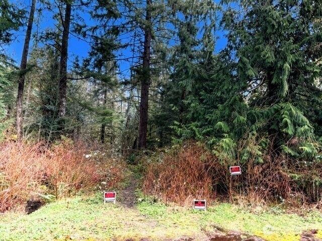 441st Ave SE, North Bend, WA 98045