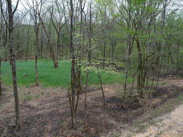 4424 Lane Springs Rd, Cherokee, AL 35616