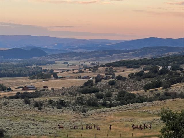 44255 Diamondback Way, Steamboat Springs, CO 80487 | MLS #S1059
