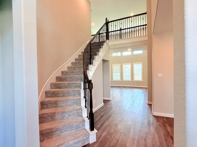 4426 Tumbling Leaf Court