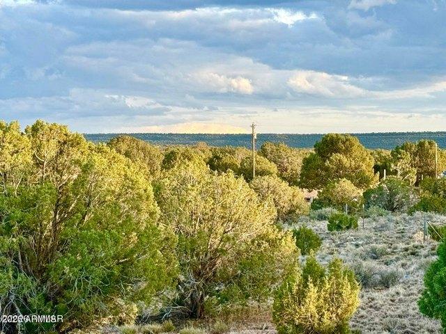 4428 Colt Rd, Snowflake, AZ 85937