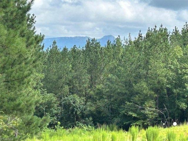 4429 Union Hill Rd, East Bend, NC 27018