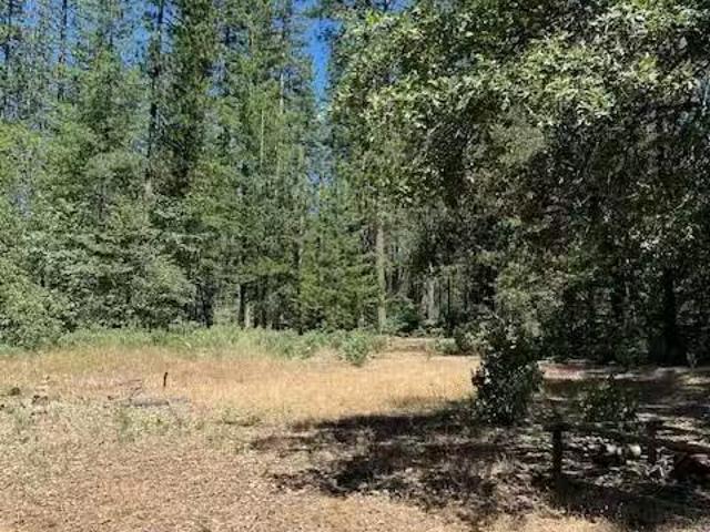 4420 HIGHWAY 4, AVERY, CA 95224 Single Family Residence For Sa.