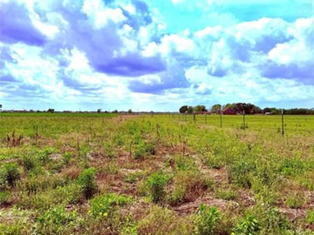4421 Polak Rd, Orchard, TX 77485