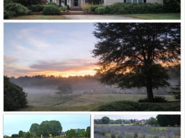 442 Buffalo Creek Road