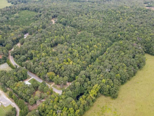 442 Davis Street # 19.2 acres