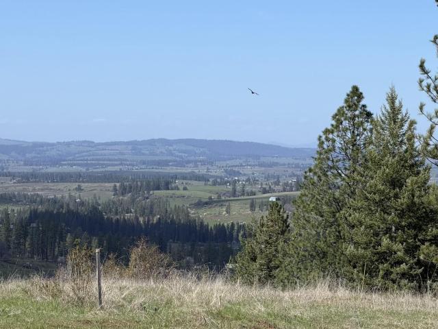 442 Elk City Wagon Rd
