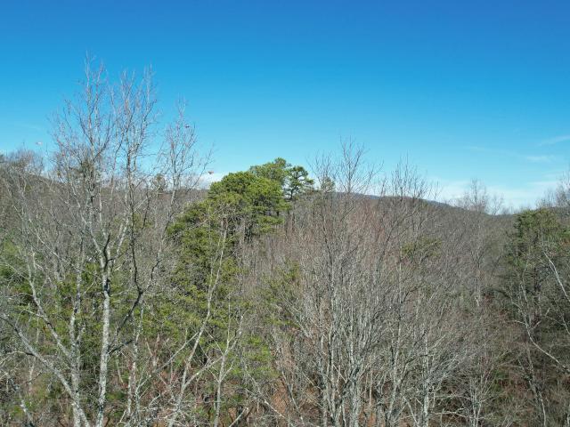 442 Hawken Drive