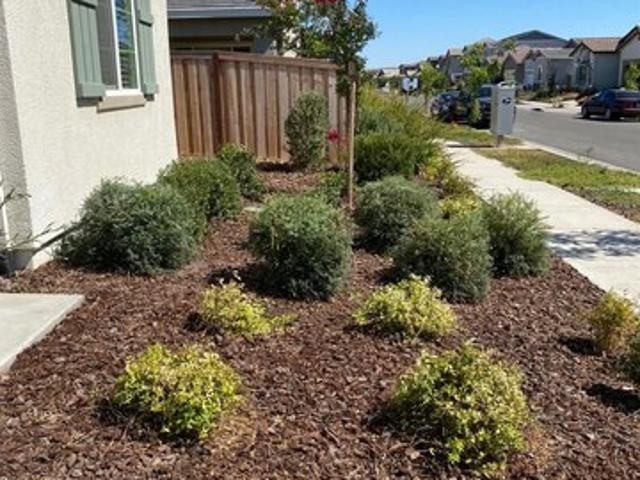 442 Olivadi Way, Sacramento, CA 95834