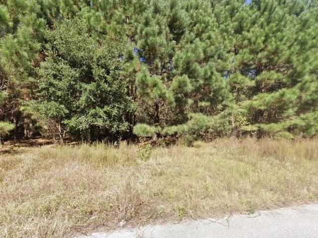 442 Pembroke Blvd, Johnsonville, SC 29555