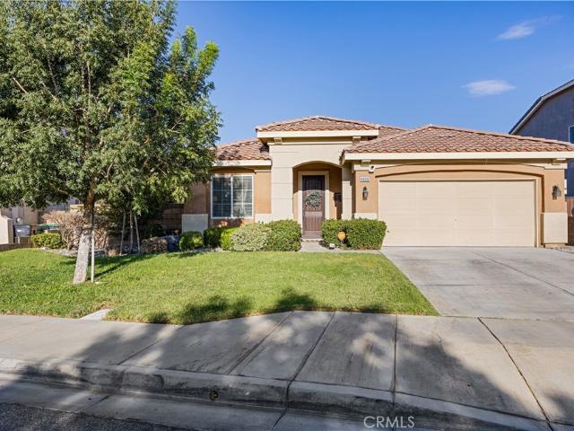 44340 Acacia