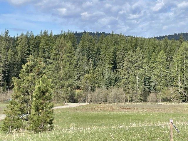 4435 Whittier Rd Lot 1, Clayton, WA 99110